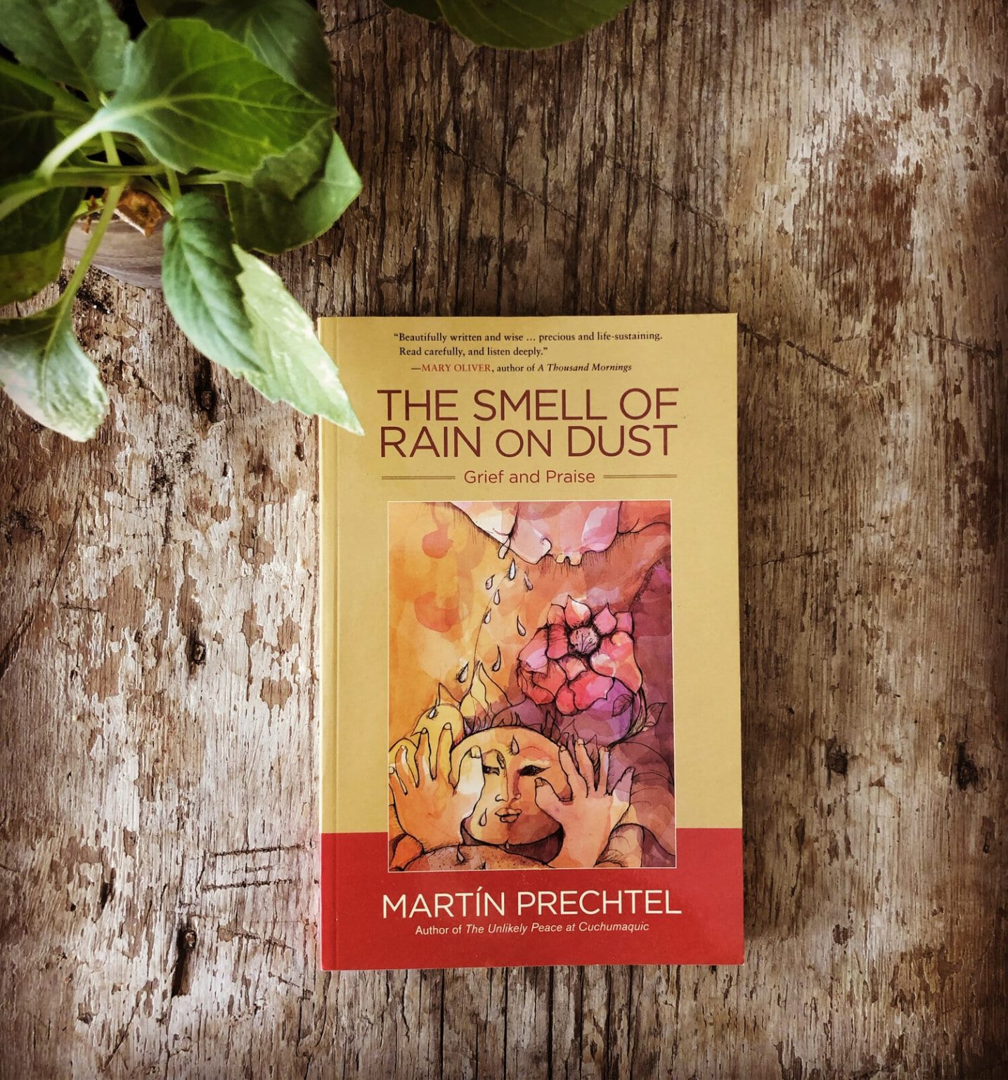 The Smell of Rain on Dust: Grief and Praise by Martin Prechtel | Barjon ...